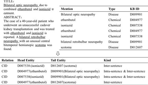 Example Of Document Level Relation Extraction Download Scientific Diagram