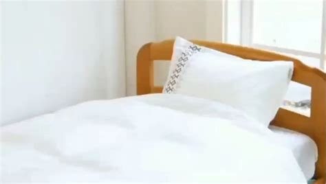 Bed Bugs Killer Powerful Spray Bed Bug Killer Spray Dust Mites Killer