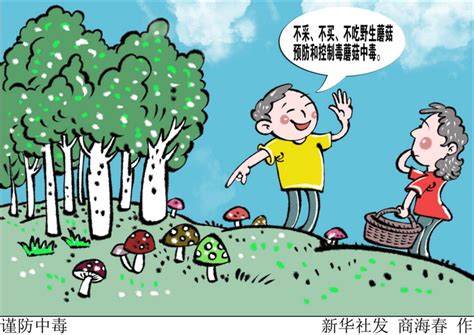 北京进入蘑菇中毒高发期市疾控提醒勿采勿食野生蘑菇