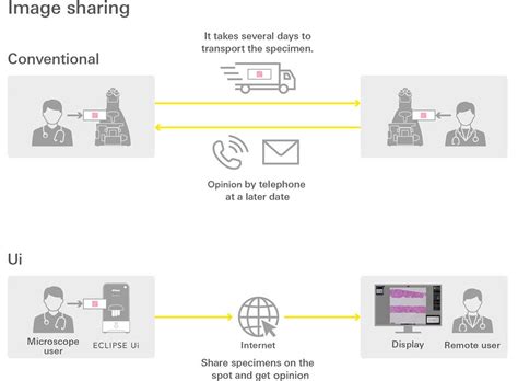 Nikon Introduces The Eclipse Ui Upright Digital Microscope News Nikon Europe B V