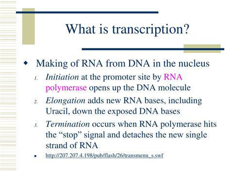 PPT RNA PowerPoint Presentation Free Download ID