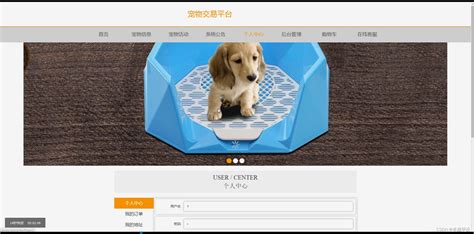 Java毕设项目宠物交易平台计算机（附源码系统数据库lw） Csdn博客