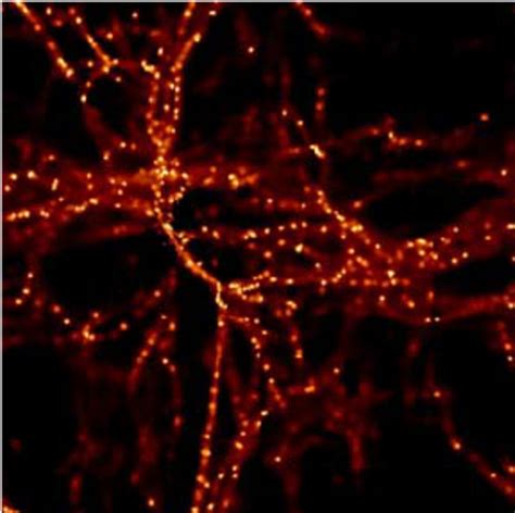 The Neutral Hydrogen Content Of A Simulated Region Of The Universe 25