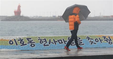 비 내리는 제주