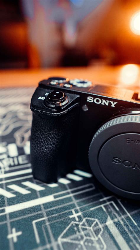 Sony A6500 Rabbit Nation