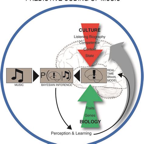 Predictive Coding Of Music The Experience And Learning Of Music Takes