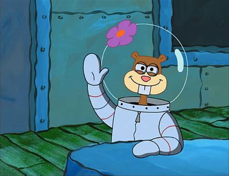 Spongebuddy Mania Spongebob Episode Squirrel Jokes