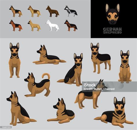 개 독일 셰퍼드 만화 벡터 일러스트 레이 션 색상 변형 세트 독일셰퍼드에 대한 스톡 벡터 아트 및 기타 이미지 독일셰퍼드