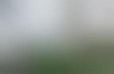 Barely There Bikinis Scandalous Swimsuits To Flaunt Nearly Everything You Ve Got