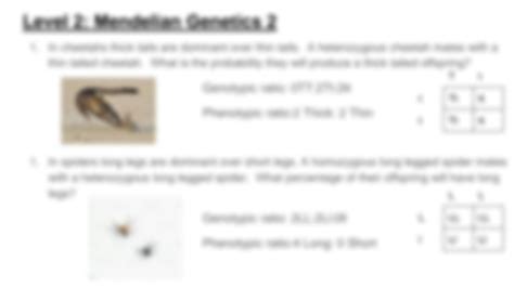 SOLUTION Monohybrid Cross Problems H Studypool