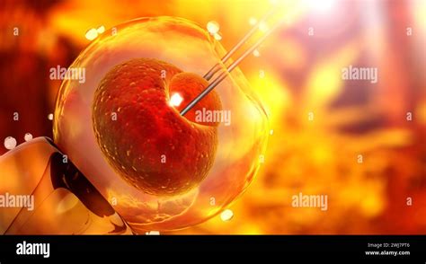 Genetic Engineering Gmo And Gene Manipulation Concept Hi Tech