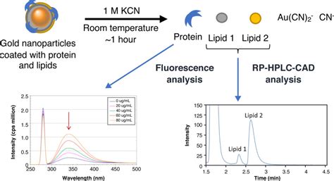 Parameters Methods And Considerations For The Physicochemical