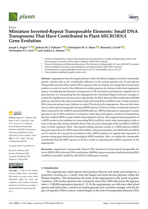 Pdf Miniature Inverted Repeat Transposable Elements Small Dna Transposons That Have