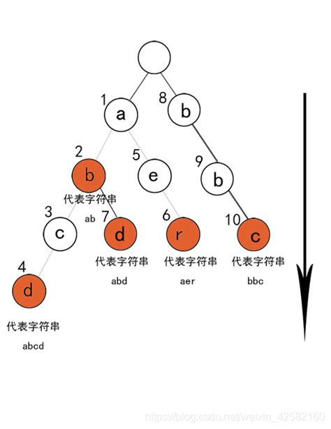 沐枫凌 数据结构 Trie树，理论构建以及代码构建，搜索详解trie数构建 Csdn博客