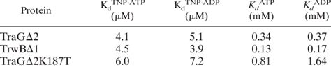 K D For Binding Of Atp Adp And Fluorescent Tnp Nucleotides Download