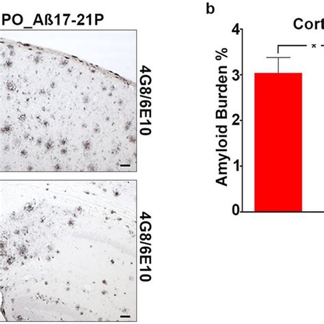 Amyloid β Plaque Burden On Brains Of App Ps1 Mice Treated With Peptoid