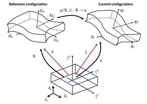 Shell Body In The Curvilinear Setting Reference B And Current B T Download Scientific