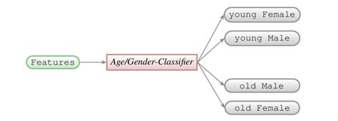 Scheme Of Utilized 1x4 Class Classifier Using One Agegender