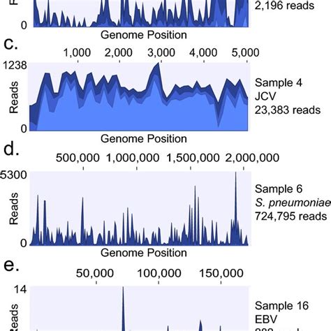 Pathogen Genome Alignment Coverage Density Plot Of Sequencing Reads Download Scientific