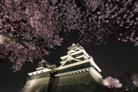 Zekkei Japan