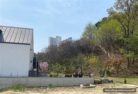 부동산 임대차계약서 양식 전세 월세 다운로드 네이버 블로그