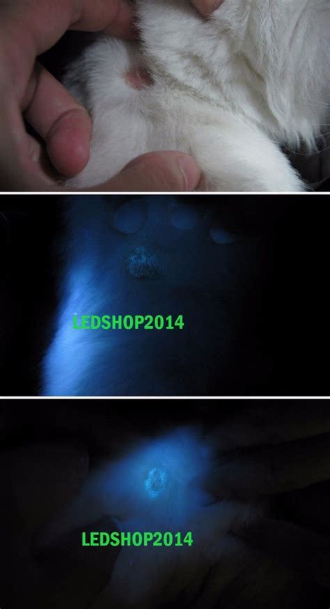 Woods Light Lamp Blacklight Ringworm Vet Diagnosis Ebay