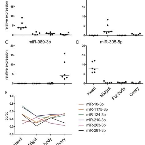 Tissue Specific Mirna Expression In The 3 Day Old A Gambiae Female
