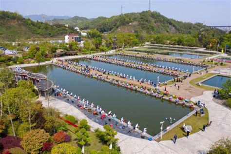 临湘小浮标钓起大产业