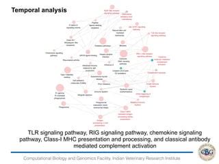 NGS Data Analysis Overview PDF Biological Sciences Science