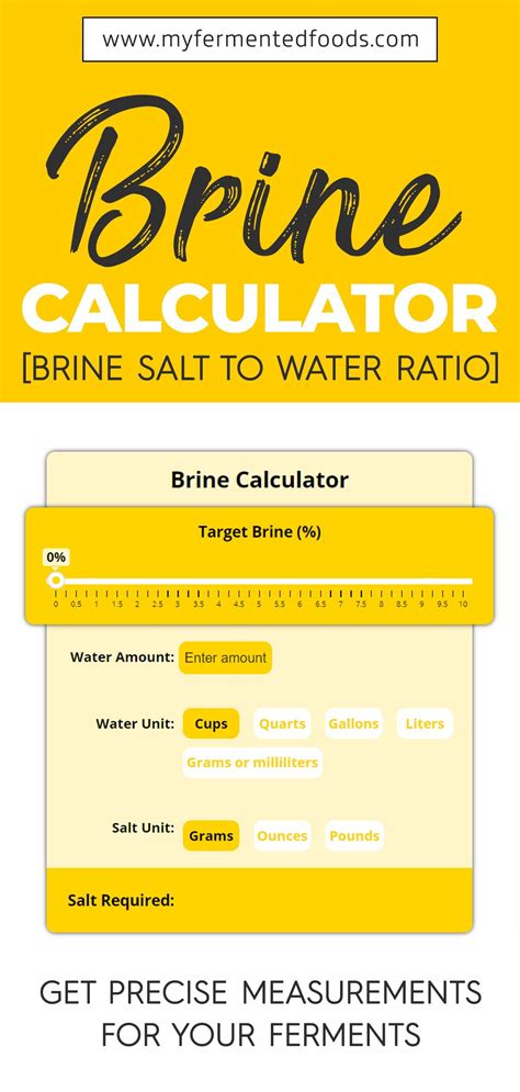 Sauerkraut Fermentation Flow Chart At Jeremy Burris Blog
