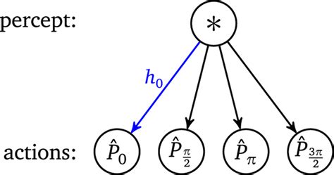 Clip Network Of The Projective Simulator The Stochastic Process Is Download Scientific Diagram