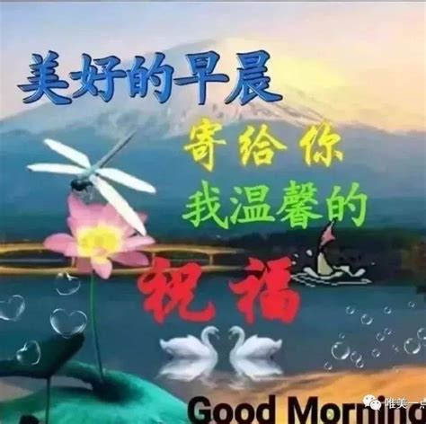 聊天不用打字动态图片疫情闹心问候暖心早安吉祥 生活 束美丽 祝福
