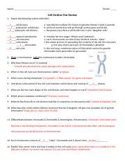 Understanding Cell Division Test Review And Concepts Course Hero