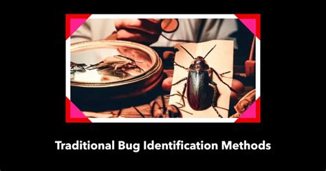 9 Best App To Identify Bugs To Become A Bug Expert 2025