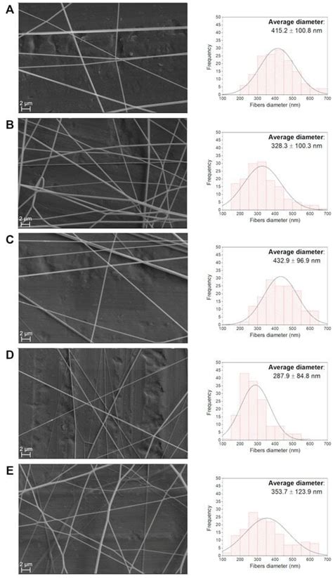 Magnetic Nanoparticles In Biopolymer Fibers Fabrication Techniques And