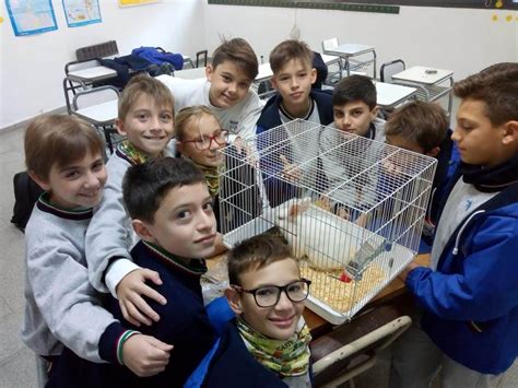 Sex Escuela Bilingüe Bicultural Dante Alighieri Oficial