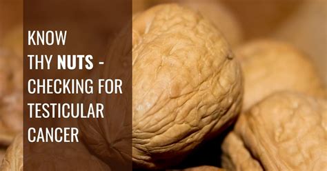 Know Thy Nuts Checking For Testicular Cancer Zest Wellbeing Hub