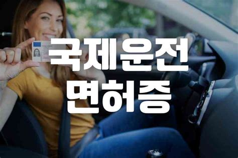 국제 운전 면허증 발급 장소 유효기간 사용 국가 건강 뉴스