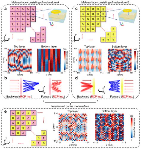 Design Principle Of Janus Metasurface For Integrated Metalens And Beam