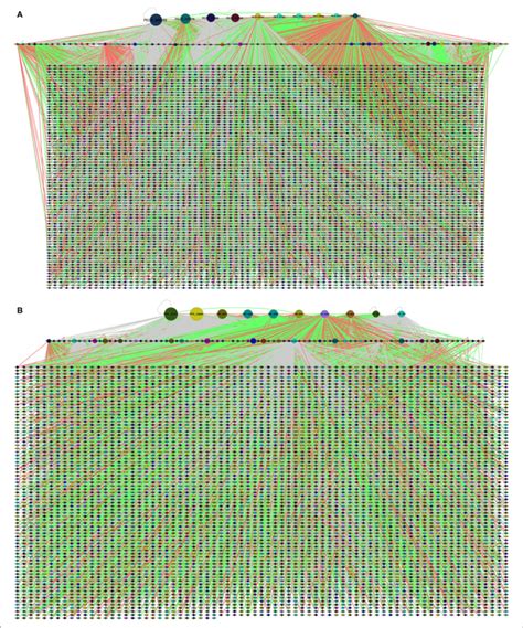 Global Regulatory Networks Of A P Echinulatum 2hh And B P Download Scientific Diagram Global Regulatory Networks Of A P Echinulatum 2hh And B P Download Scientific Diagram