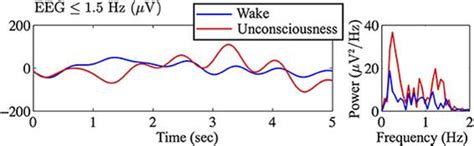 Electrophysiology Why Is Fast Fourier Transform Applied To Raw Eeg