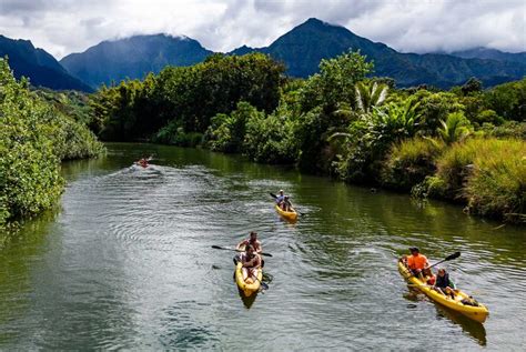 Hanalei Blue Lagoon Kayaking Tour River And Bay Exploration
