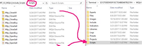 Roulette Trader A Powerful Forex Trading Money Management Strategy Ea Installation Instructions