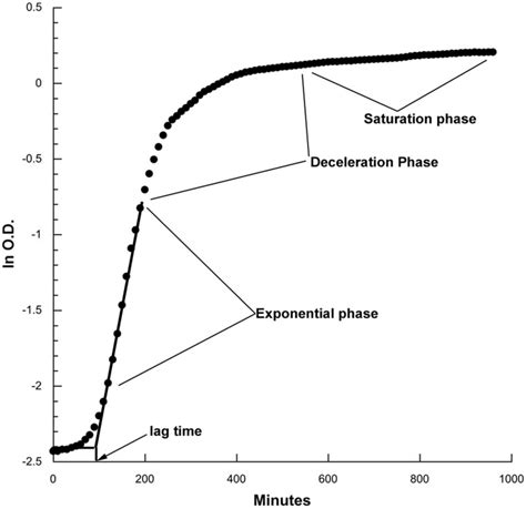 Bacterial Growth Curve Cell Division Reproduction In Prokaryotes