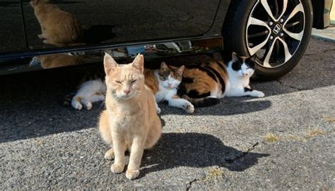 38日目他人と比較して苦しくなった時にラクになれる方法 生きづらさを感じるあなたの支えに！hsp、adhd、精神疾患を抱え介護福祉士に従事