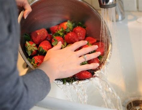 როგორ შევინახოთ მარწყვი ცოცხლად გაყინვისა და უბრალოდ გაციების რამდენიმე მეთოდი