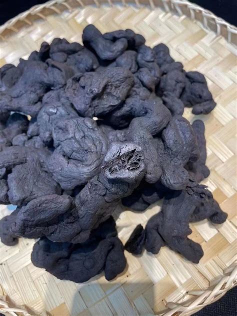 三程道长九蒸九晒密制黄精七七四十九天完成 哔哩哔哩