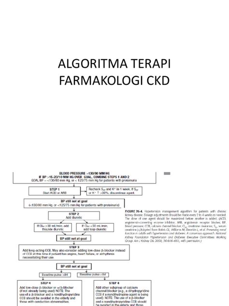 Algoritma Terapi Farmakologi Ckd Pdf