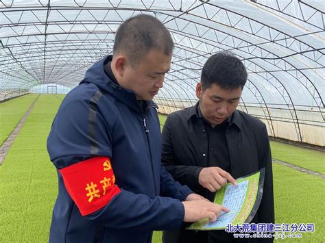 大兴农场有限公司稻田问诊开良方 科技赋能育壮秧 农机新闻网农机新闻农机农业机械拖拉机
