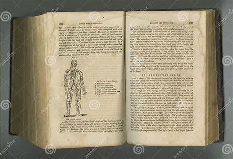 Pages De Livres Anciens Et Anatomie Des Systèmes Respiratoires Ou
